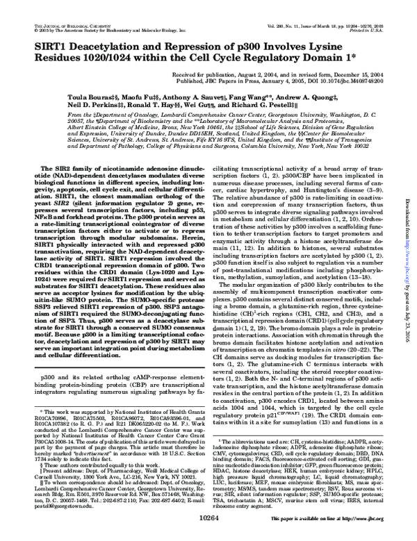 (PDF) SIRT1 Deacetylation and Repression of p300 Involves Lysine ...