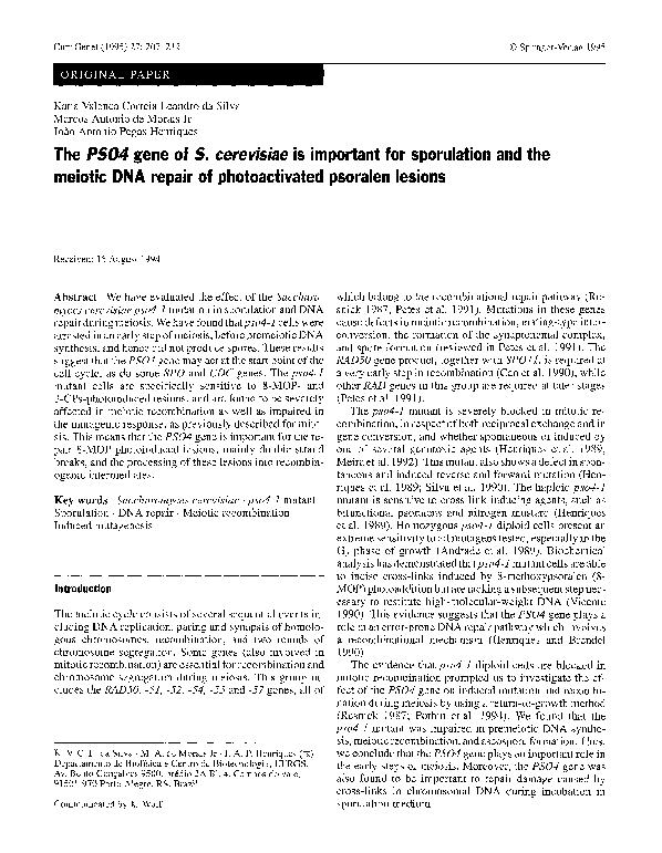 (PDF) The PSO4 gene of S. cerevisiae is important for sporulation and ...