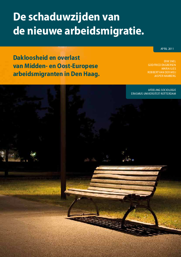 (PDF) De schaduwzijden van de nieuwe arbeidsmigratie. Dakloosheid en ...