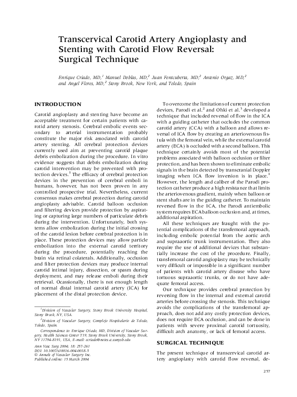 (PDF) Transcervical Carotid Angioplasty: New Techniques and Risks
