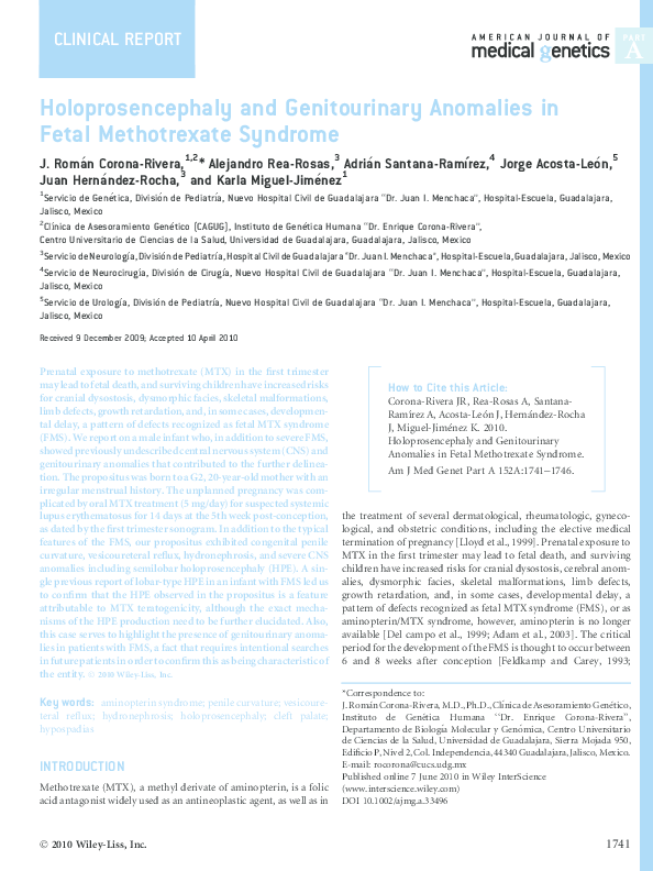 (PDF) Holoprosencephaly and genitourinary anomalies in fetal ...