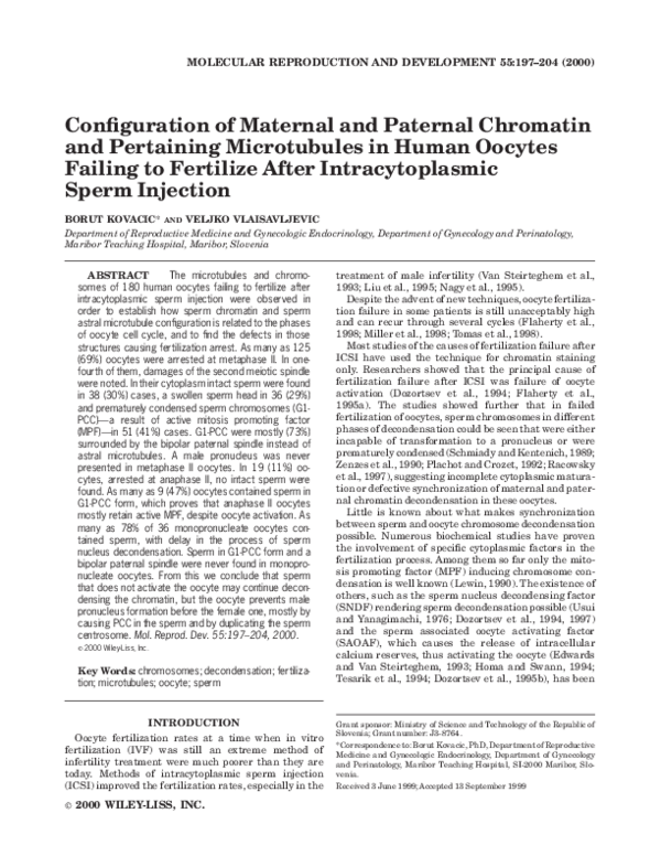 (PDF) Configuration of maternal and paternal chromatin and pertaining ...