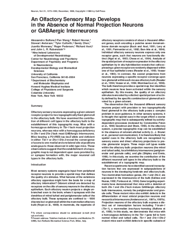Pdf A Model For Axon Navigation Based On Glycocodes In The Primary Olfactory System James