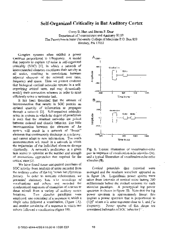 (PDF) Self-organized criticality in bat auditory cortex