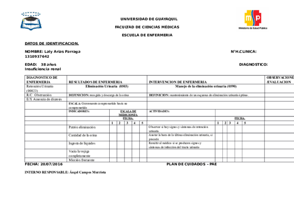 (DOC) Formato PAE Internado | Alexis Campos - Academia.edu