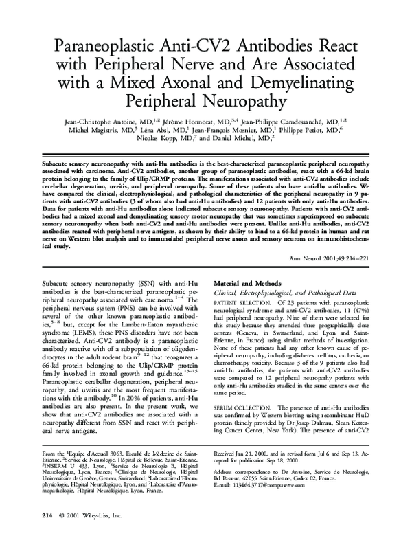 (PDF) Paraneoplastic anti-CV2 antibodies react with peripheral nerve ...