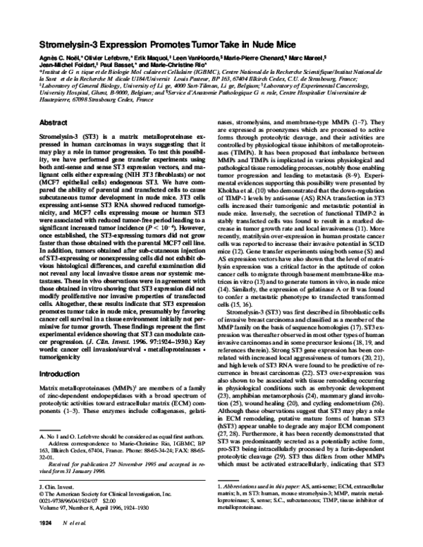 (PDF) Stromelysin-3 expression promotes tumor take in nude mice