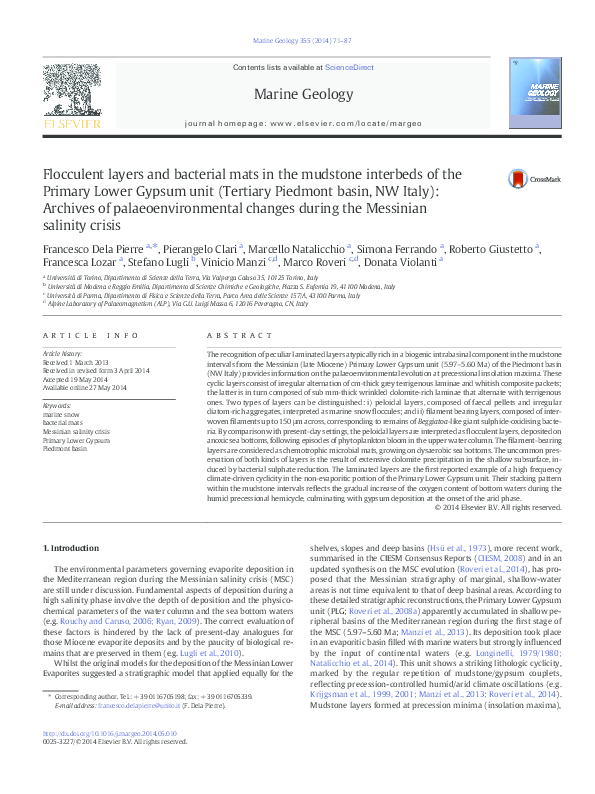 (PDF) Flocculent layers and bacterial mats in the mudstone interbeds of ...