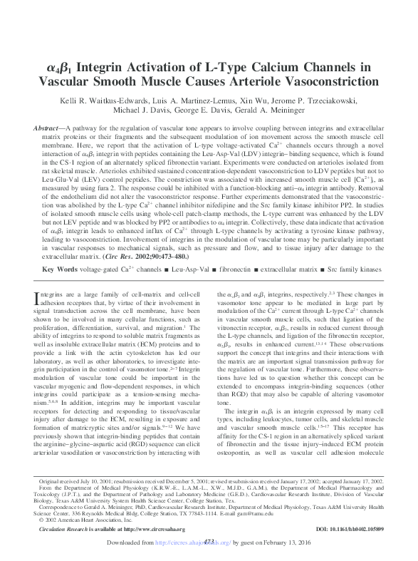 (PDF) a4b1 Integrin Activation of L-Type Calcium Channels in Vascular ...