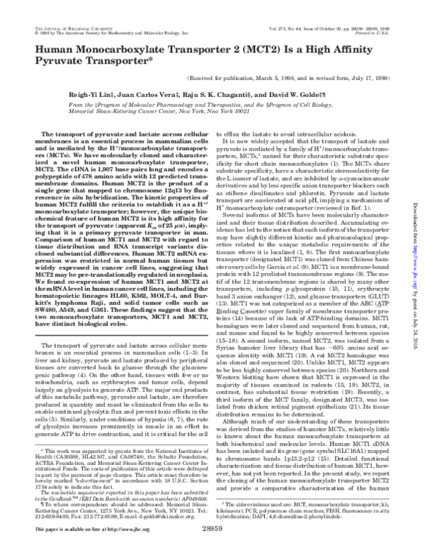 (PDF) Human Monocarboxylate Transporter 2 (MCT2) Is a High Affinity ...