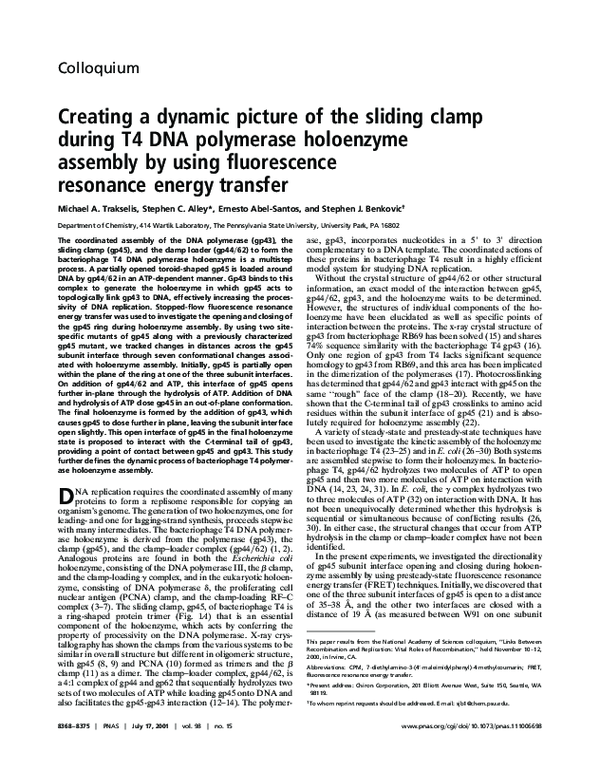 (PDF) Creating a dynamic picture of the sliding clamp during T4 DNA ...