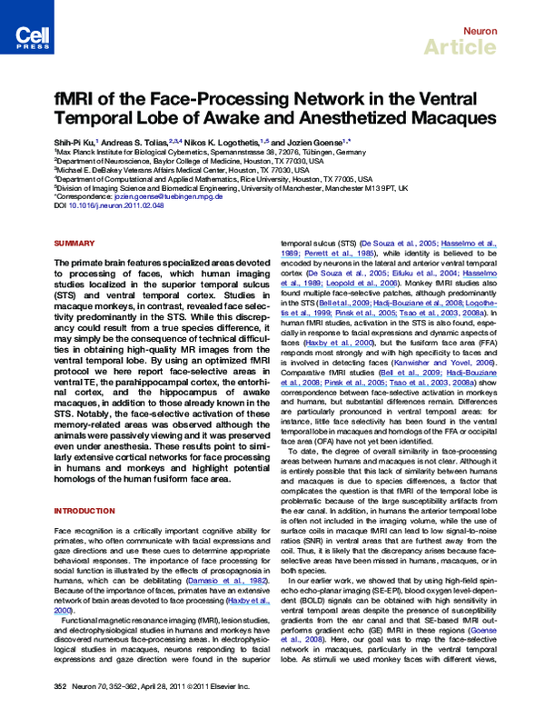 (PDF) fMRI of the Face-Processing Network in the Ventral Temporal Lobe ...