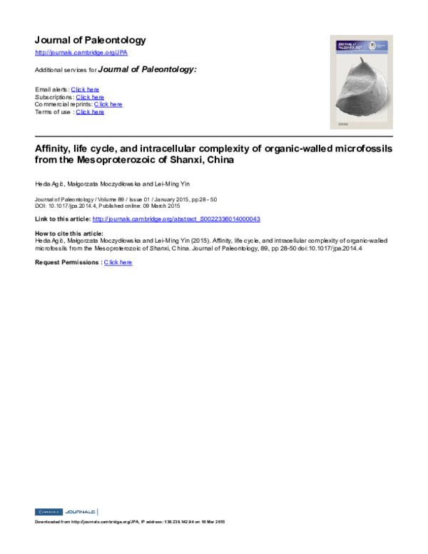 (PDF) Morphology of the Proterozoic eukaryotic microfossils as a ...