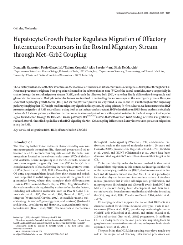 (PDF) Hepatocyte Growth Factor Regulates Migration of Olfactory ...