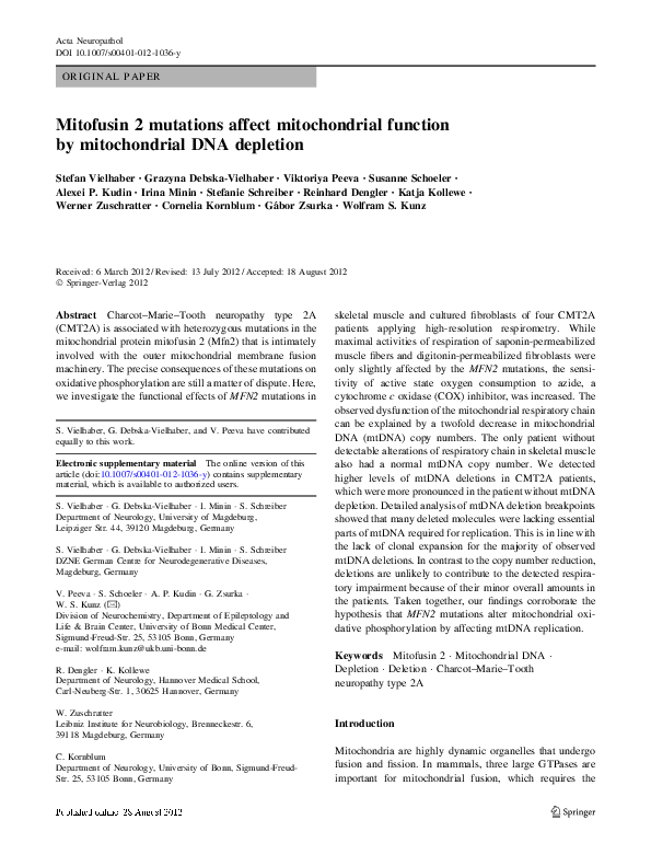 (PDF) Mitofusin 2 mutations affect mitochondrial function by ...