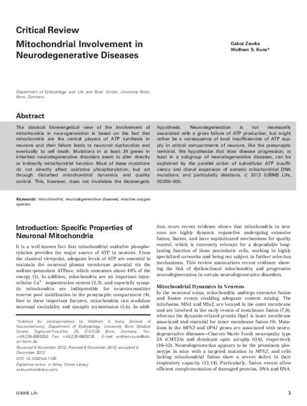 (PDF) Mitochondrial involvement in neurodegenerative diseases