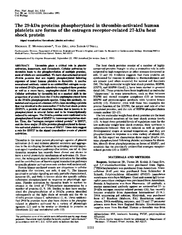 (PDF) The 29-kDa Proteins Phosphorylated in Thrombin-Activated Human Platelets are Forms of the ...