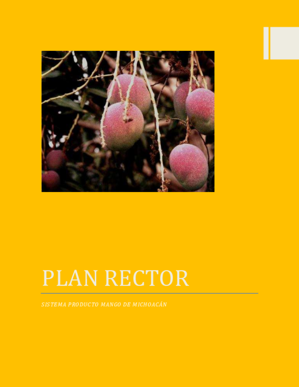 (PDF) Plan Rector Mango 2013