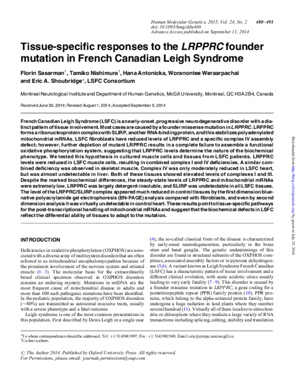 (PDF) Tissue-specific responses to the LRPPRC founder mutation in ...