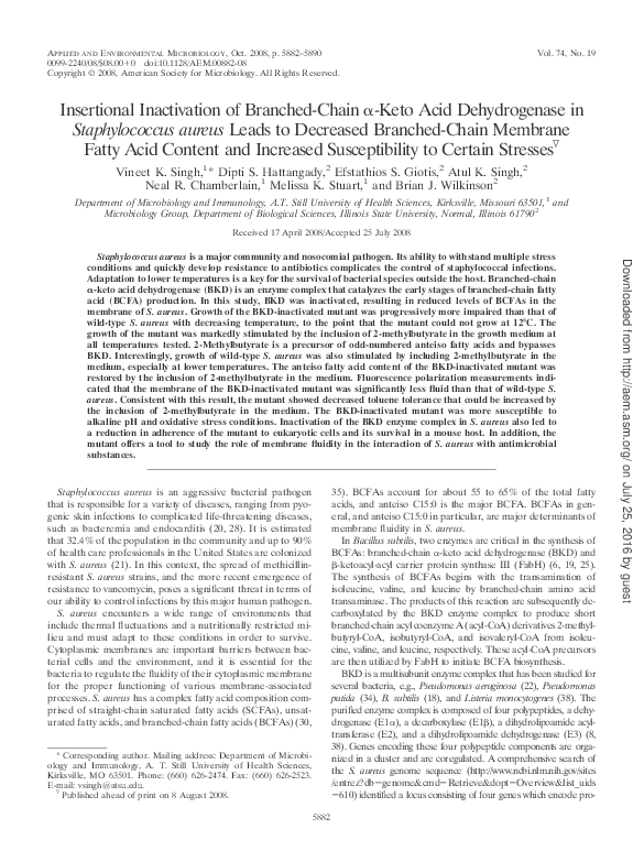 (PDF) Insertional Inactivation of Branched-Chain -Keto Acid Dehydrogenase in Staphylococcus ...