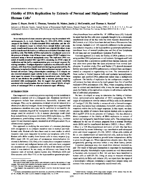 (PDF) Fidelity of DNA Replication by Extracts of Normal and Malignantly ...