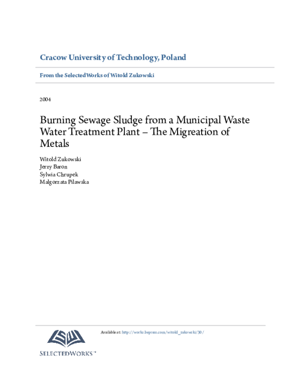 (PDF) Burning Sewage Sludge from a Municipal Waste Water Treatment ...