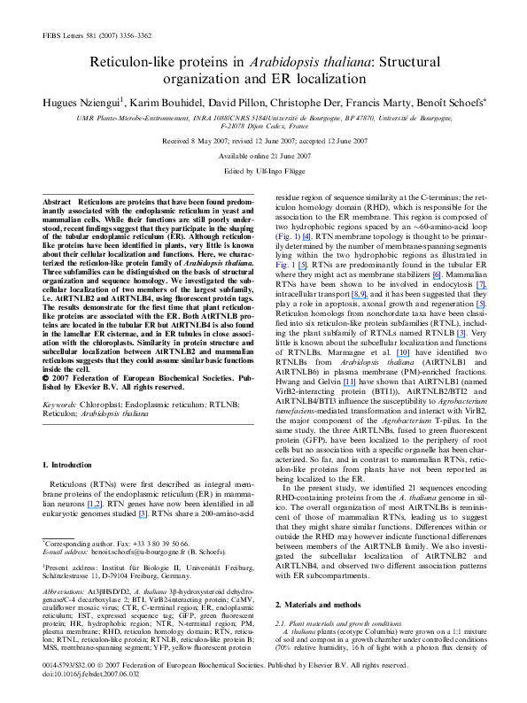 (PDF) Reticulon-like proteins in Arabidopsis thaliana: Structural organization and ER localization