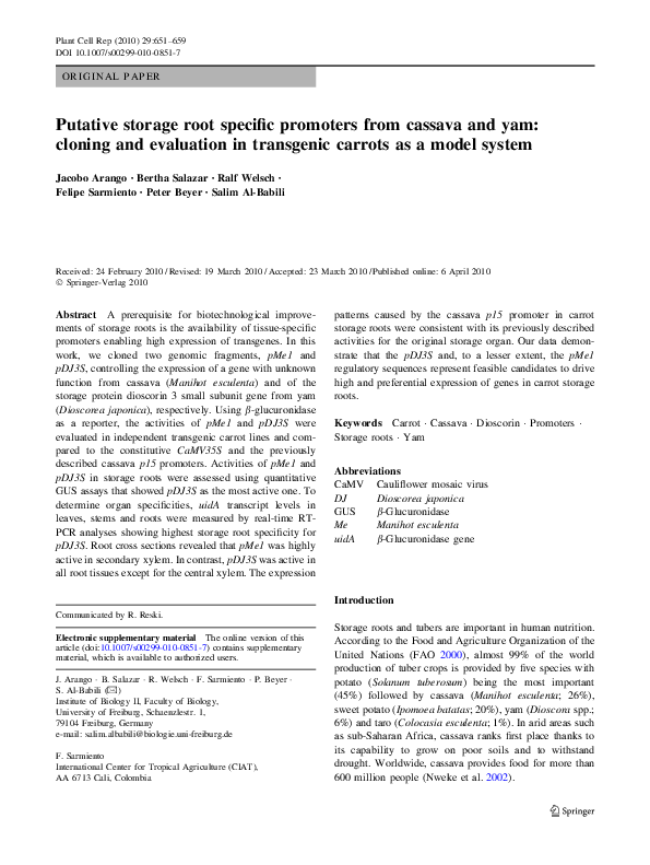 (PDF) Putative storage root specific promoters from cassava and yam ...