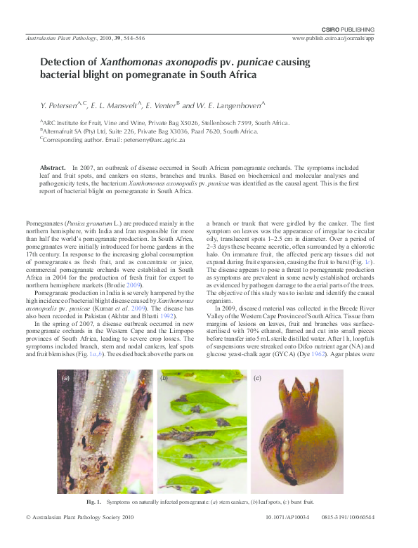 (PDF) Detection of Xanthomonas axonopodis pv. punicae causing bacterial ...