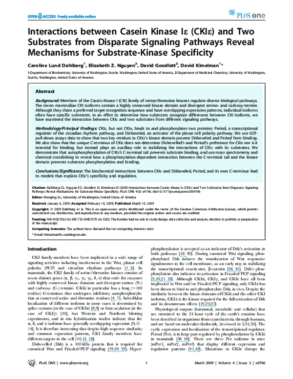 (PDF) CKIε Substrate Interactions and Specificity