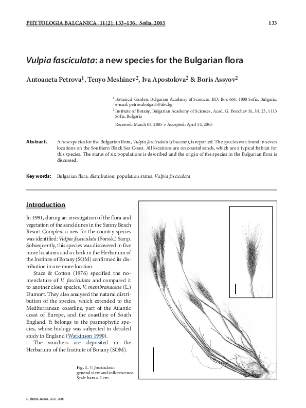(PDF) Vulpia fasciculata: a new species for the Bulgarian flora