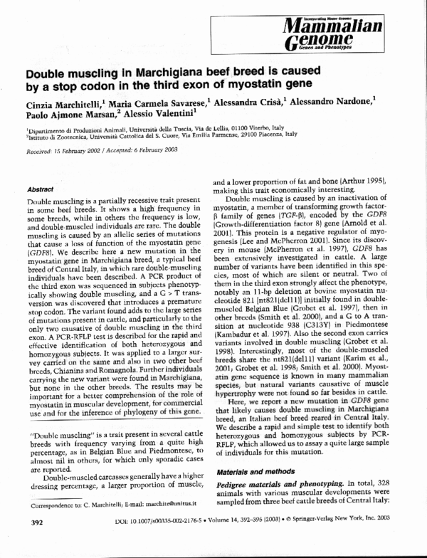 (PDF) Double muscling in Marchigiana beef breed is caused by a stop ...