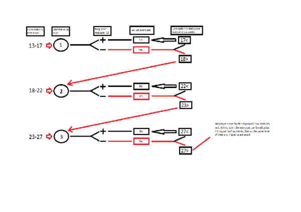 (DOC) Voorbeeld flowchart core stability | Maartje Wouda - Academia.edu