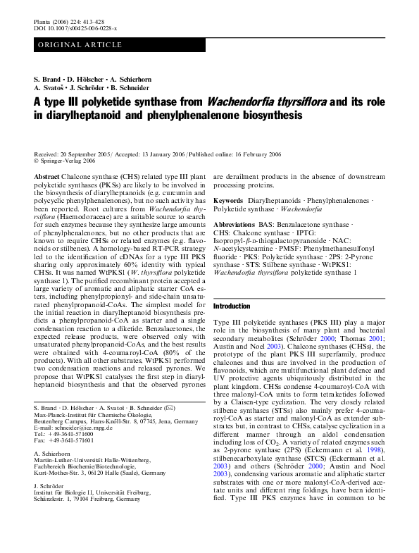 (PDF) A type III polyketide synthase from Wachendorfia thyrsiflora and ...