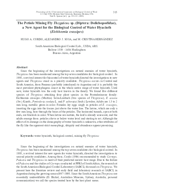 (PDF) The Petiole Mining Fly Thrypticus sp. (Diptera: Dolichopodidae ...