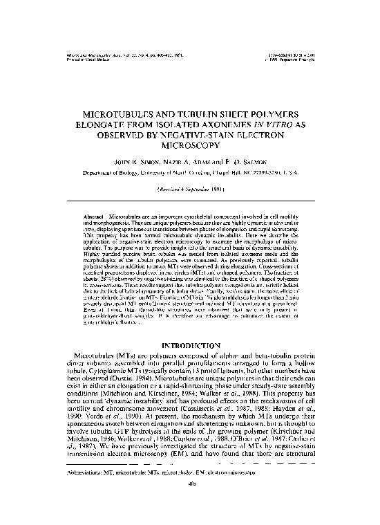 (PDF) Microtubules and tubulin sheet polymers elongate from isolated ...