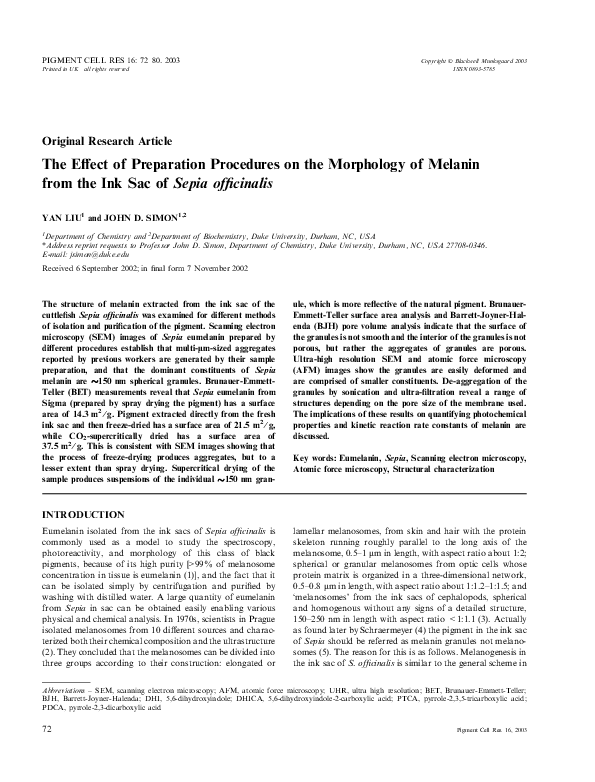 (PDF) The Effect of Preparation Procedures on the Morphology of Melanin ...