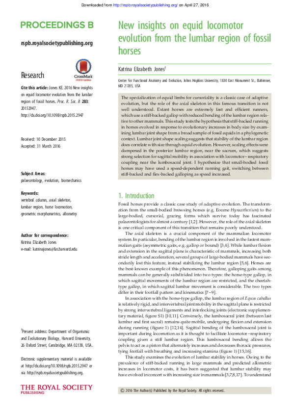 (PDF) New insights on equid locomotor evolution from the lumbar region ...