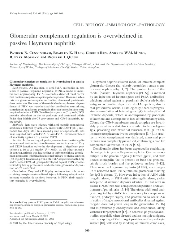 (PDF) Glomerular complement regulation is overwhelmed in passive ...