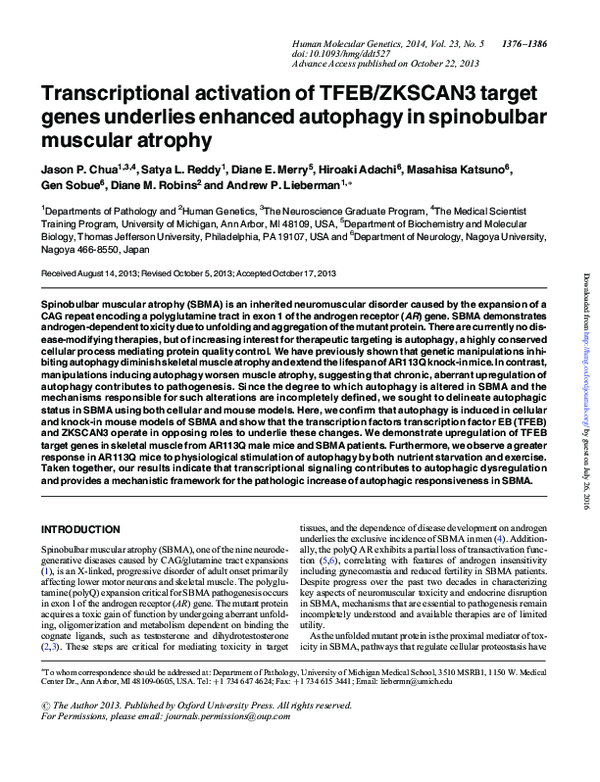 (PDF) Transcriptional activation of TFEB/ZKSCAN3 target genes underlies ...