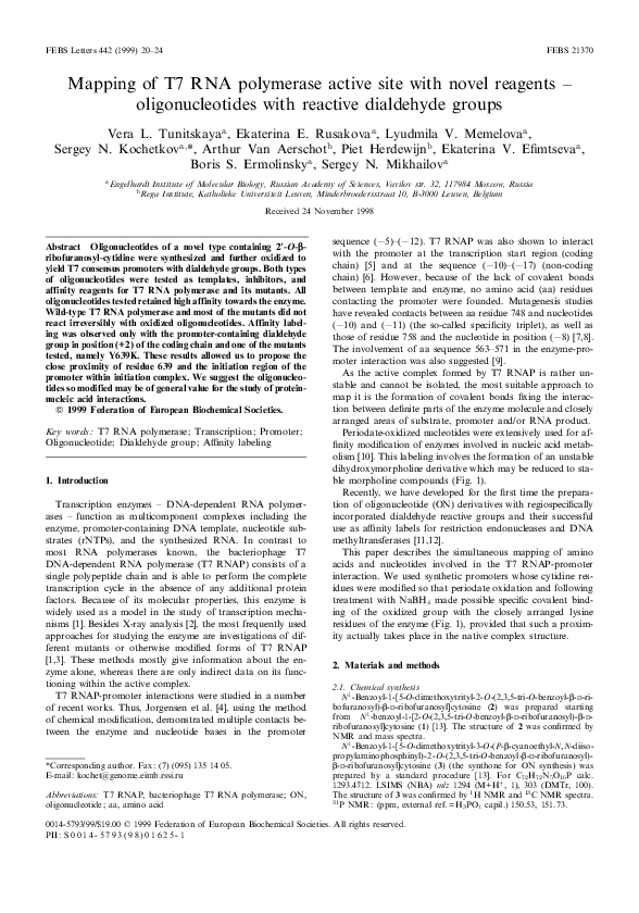 (PDF) Mapping of T7 RNA polymerase active site with novel reagents ...