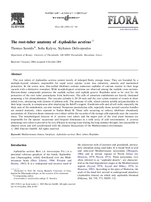 (PDF) The root-tuber anatomy of Asphodelus aestivus
