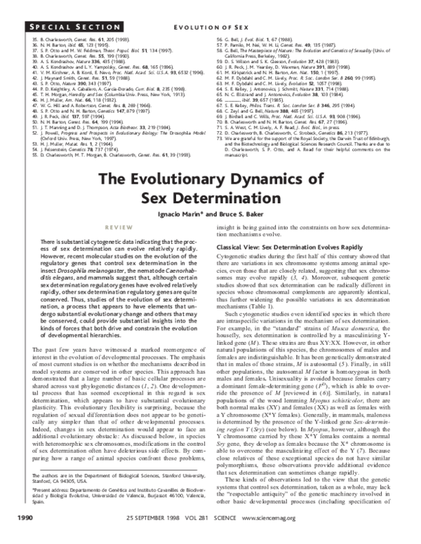 Pdf The Evolutionary Dynamics Of Sex Determination