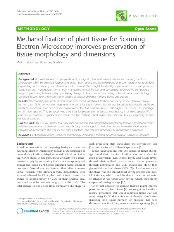 (PDF) Methanol fixation of plant tissue for Scanning Electron ...