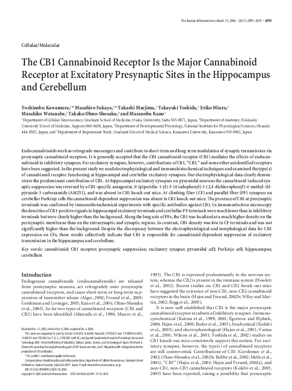 (PDF) Characterization of CB1 cannabinoid receptor immunoreactivity in ...