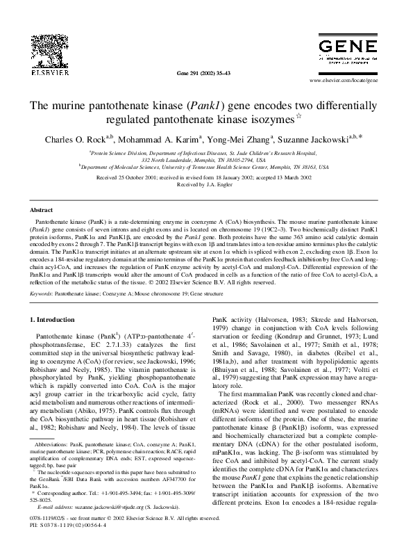 (PDF) The murine pantothenate kinase ( Pank1) gene encodes two ...