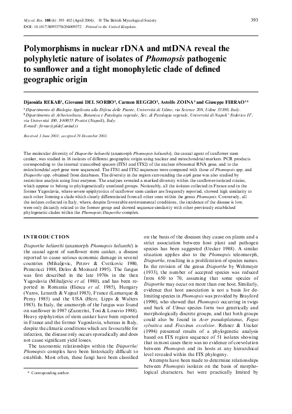 (PDF) Polymorphisms in nuclear rDNA and mtDNA reveal the polyphyletic ...