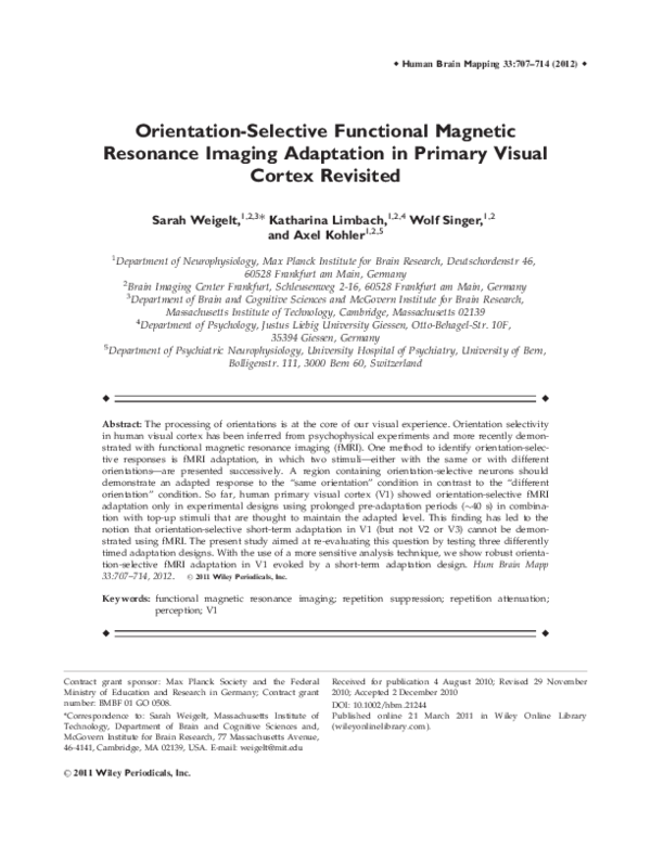 (PDF) Orientation-selective functional magnetic resonance imaging adaptation in primary visual ...