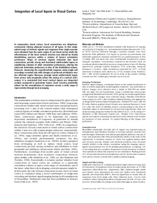 (PDF) Integration of local inputs in visual cortex