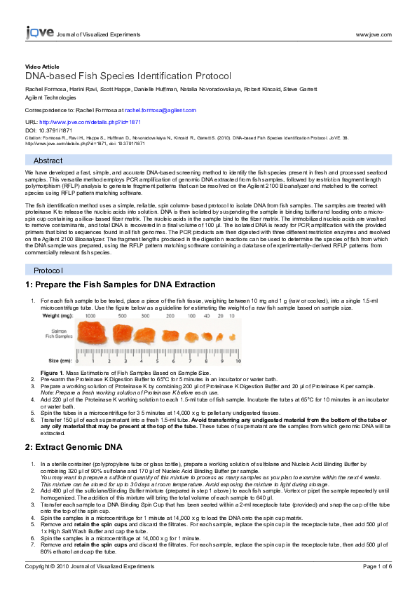 (PDF) DNA-based Fish Species Identification Protocol